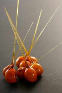 Caramelized Hazelnuts | Cake Lab