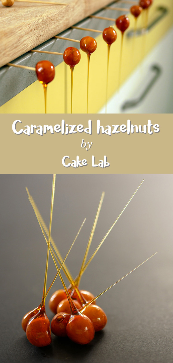 Caramelized Hazelnuts | Cake Lab